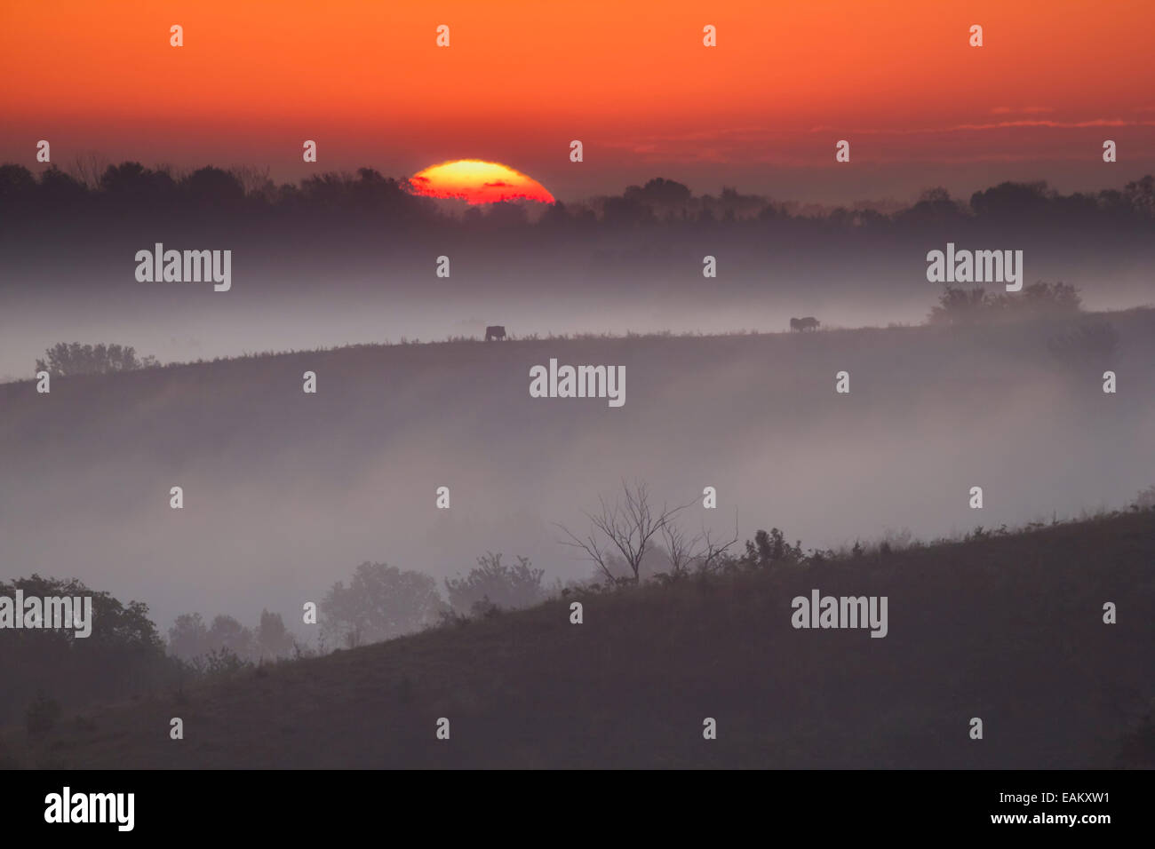 Foggy morning in the Loess Hills area of western Iowa Stock Photo - Alamy
