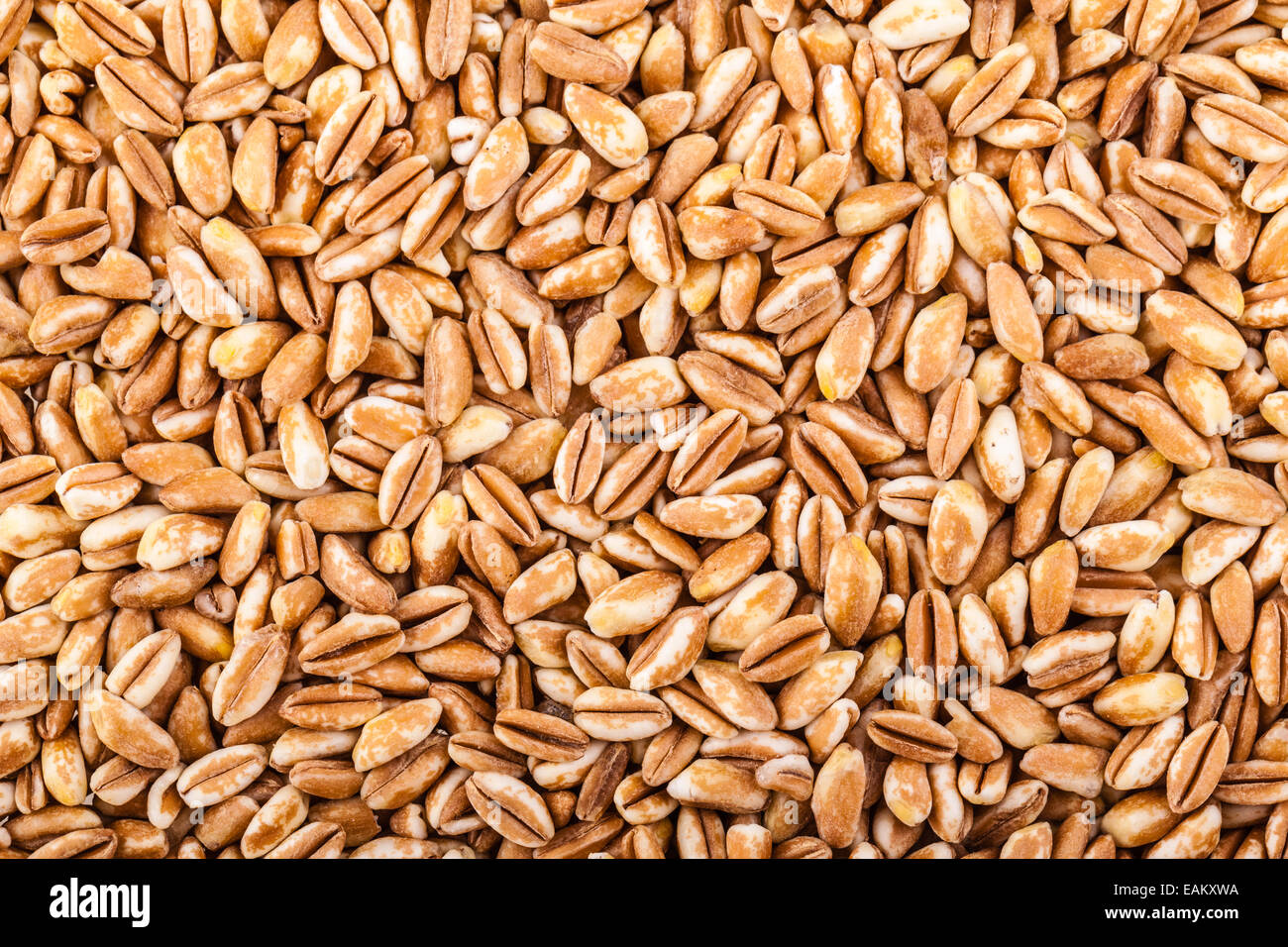 Lot fiber hi-res stock photography and images - Alamy