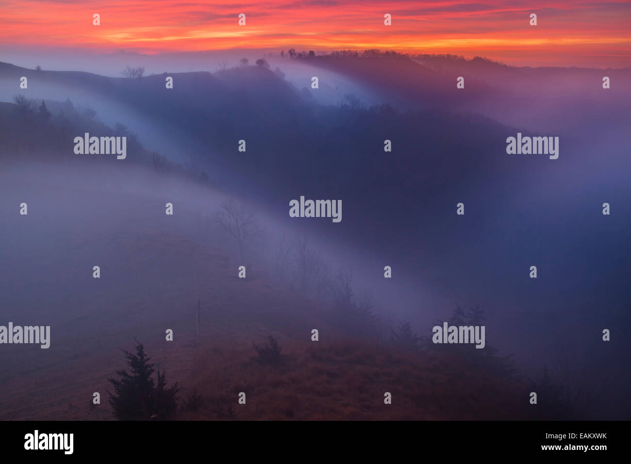 Foggy morning in the Loess Hills area of western Iowa Stock Photo - Alamy