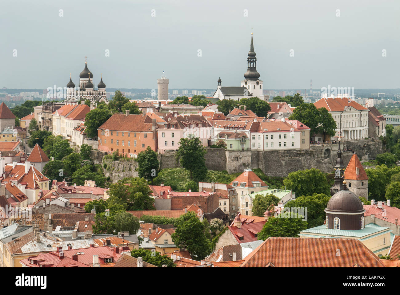 A romantic view on the upper old town of Tallinn, Estonia. View from a ...