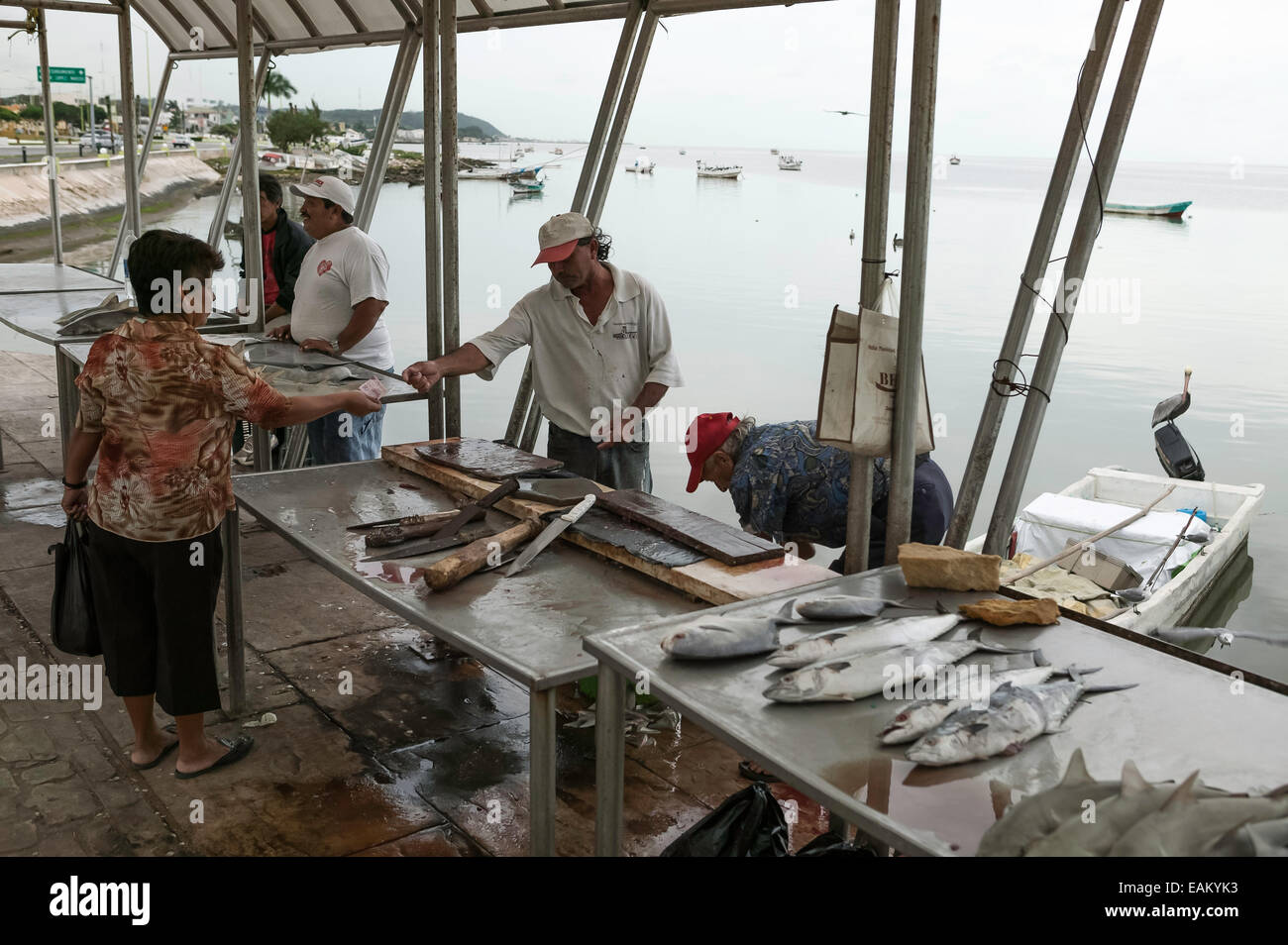 Mexican fishermen selling their catch from stands on the Melecon ...