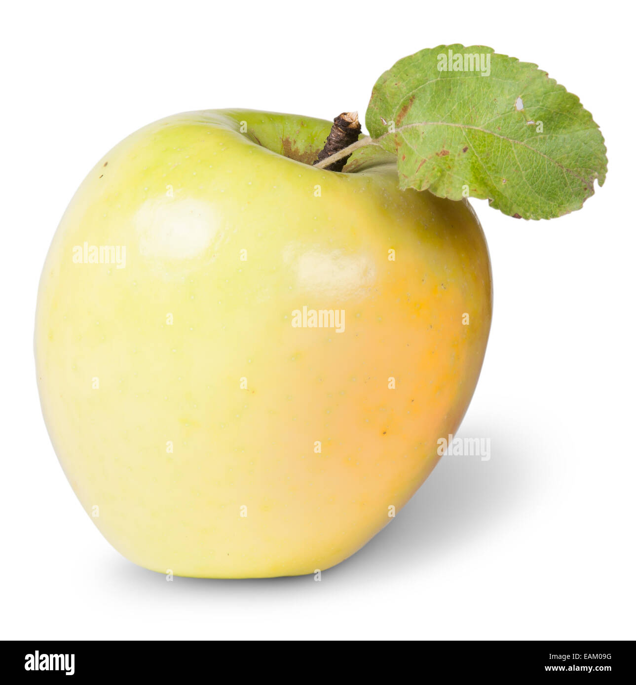 Yellow Apple With Leaf