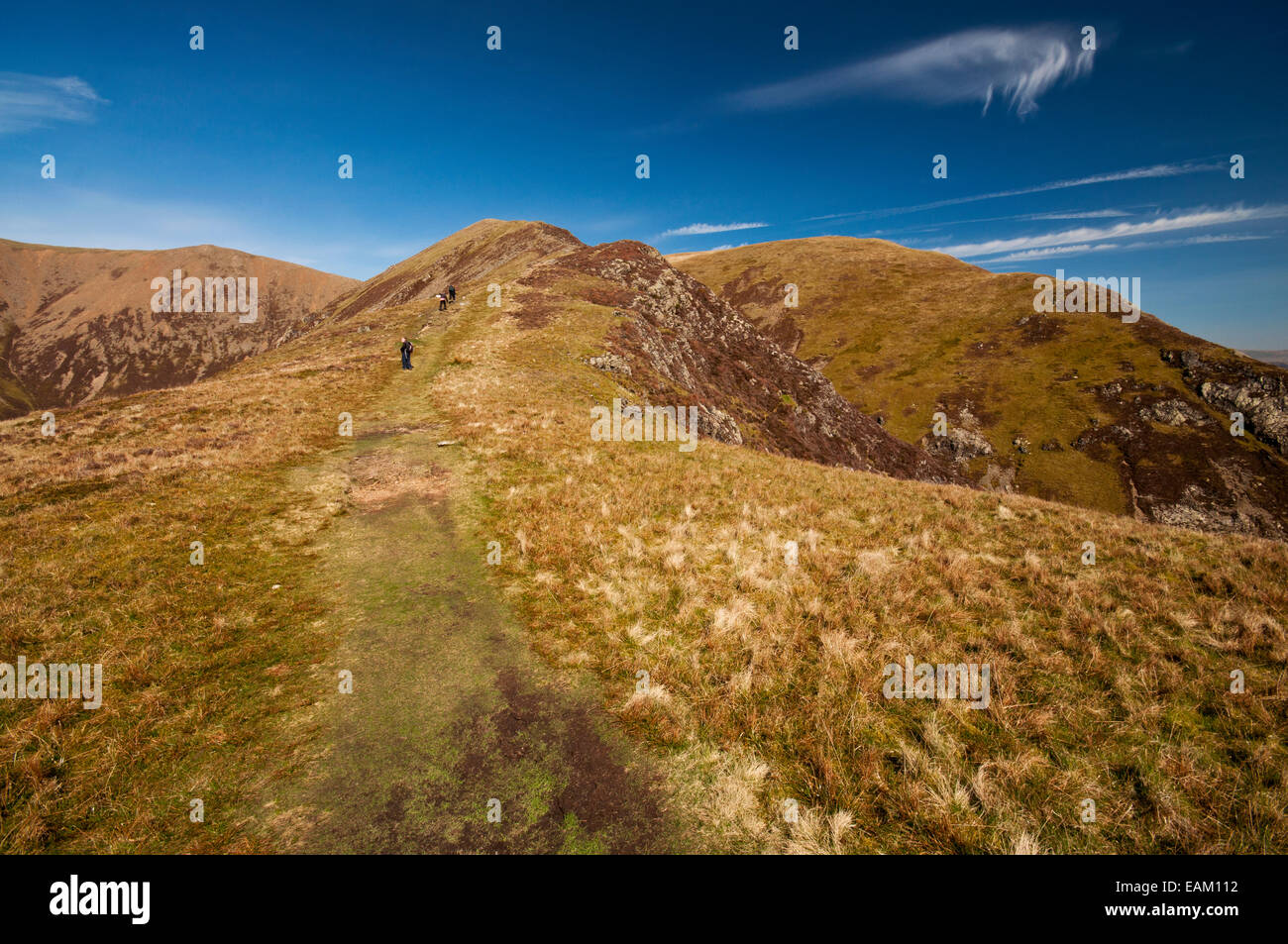 Whiteless edge hi-res stock photography and images - Alamy