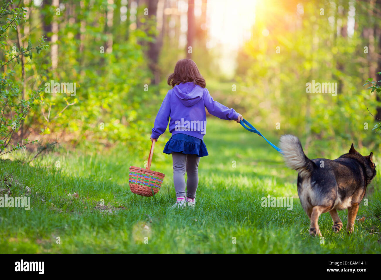 Little girl walking with dog in the forest Stock Photo - Alamy