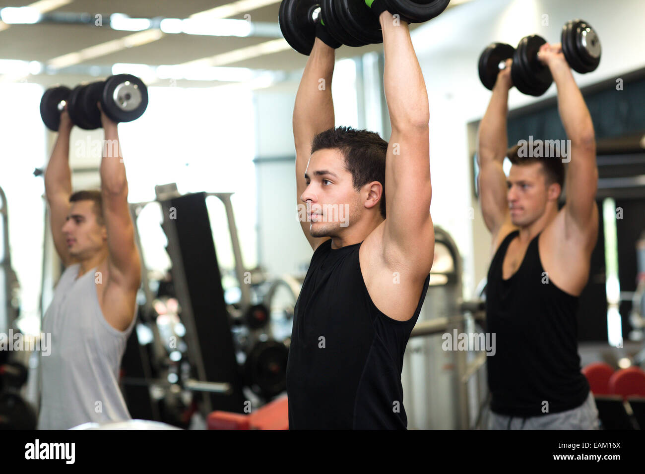 group of men with dumbbells in gym Stock Photo - Alamy