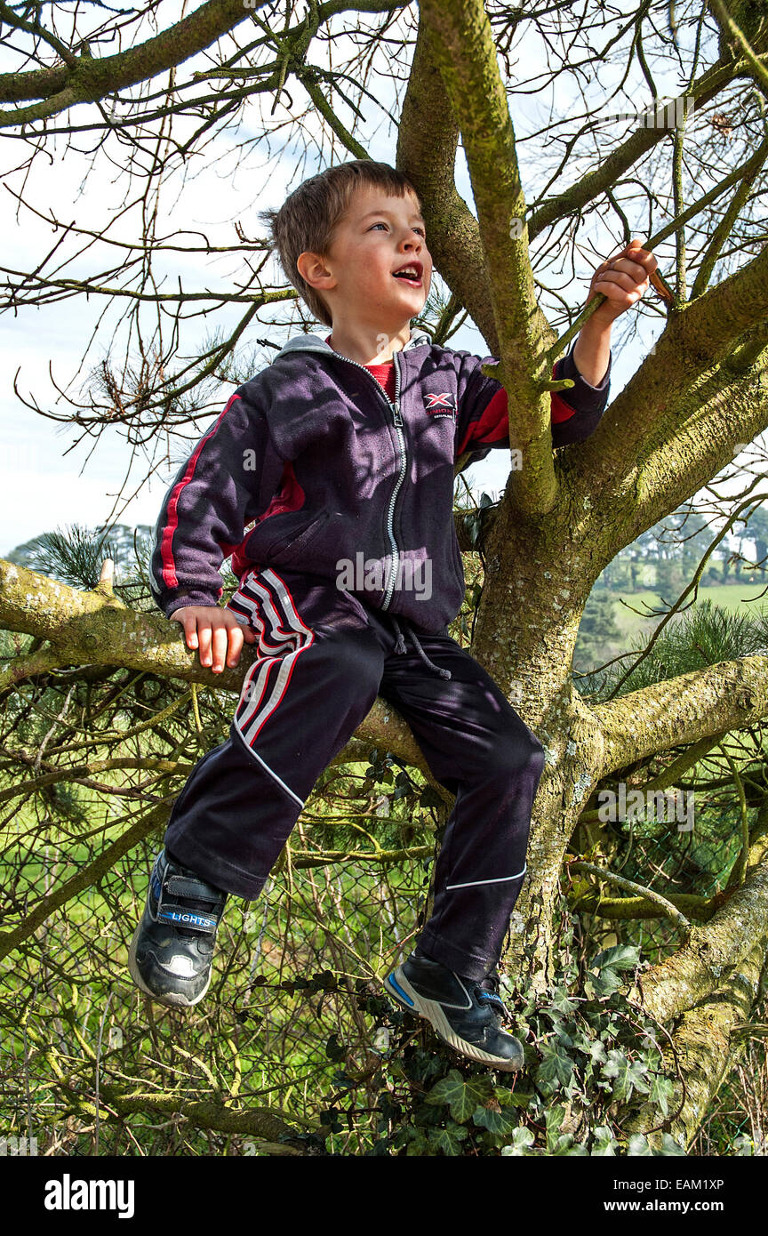 little boy sitting in a tree Stock Photo - Alamy