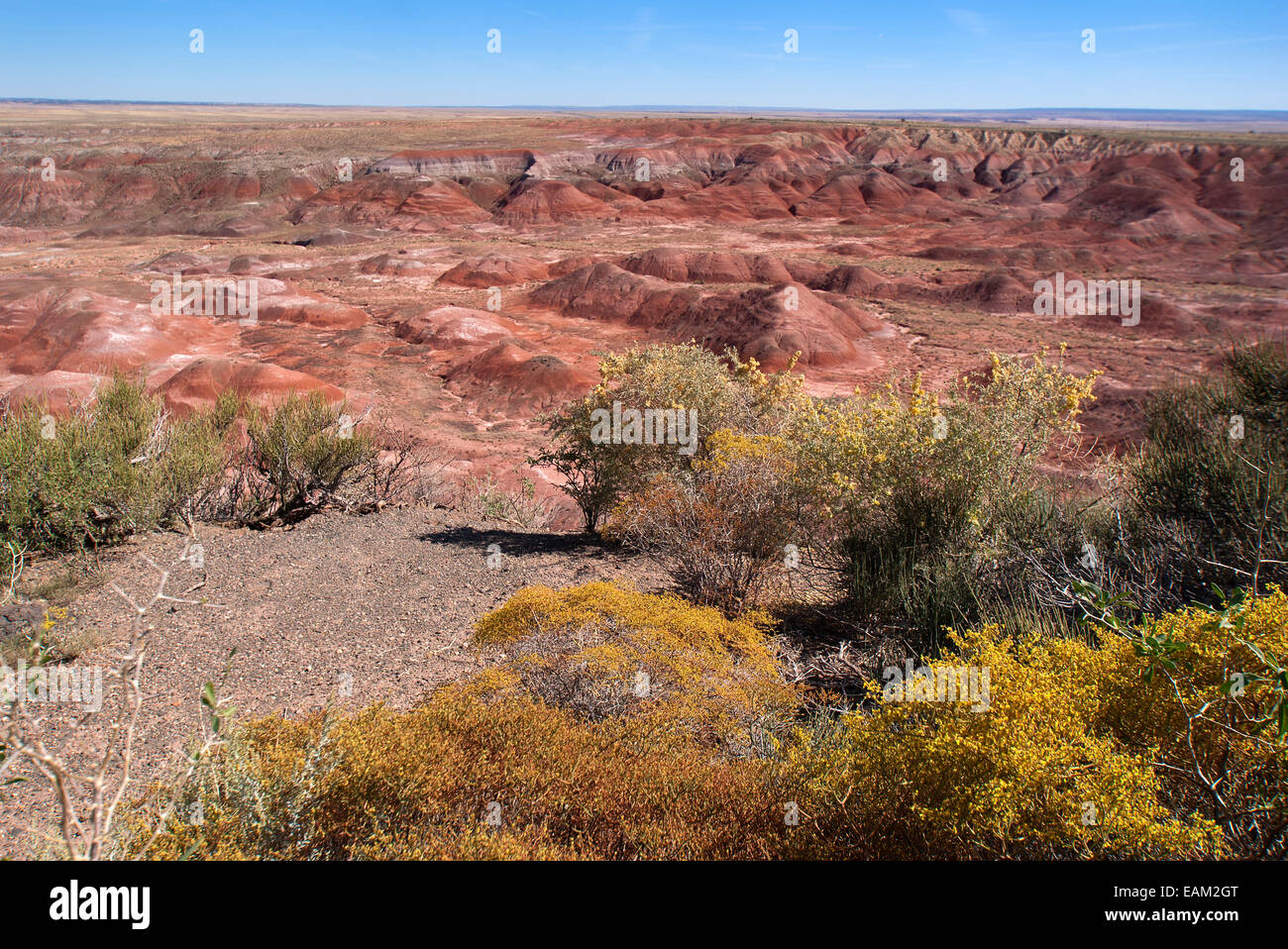 Arid Scrub High Resolution Stock Photography and Images - Alamy