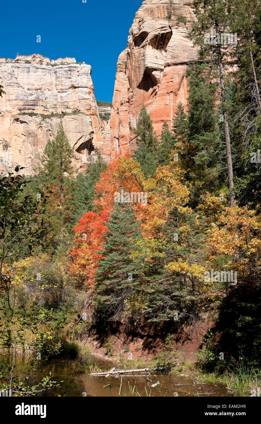 Sedona fall colors hi-res stock photography and images - Alamy