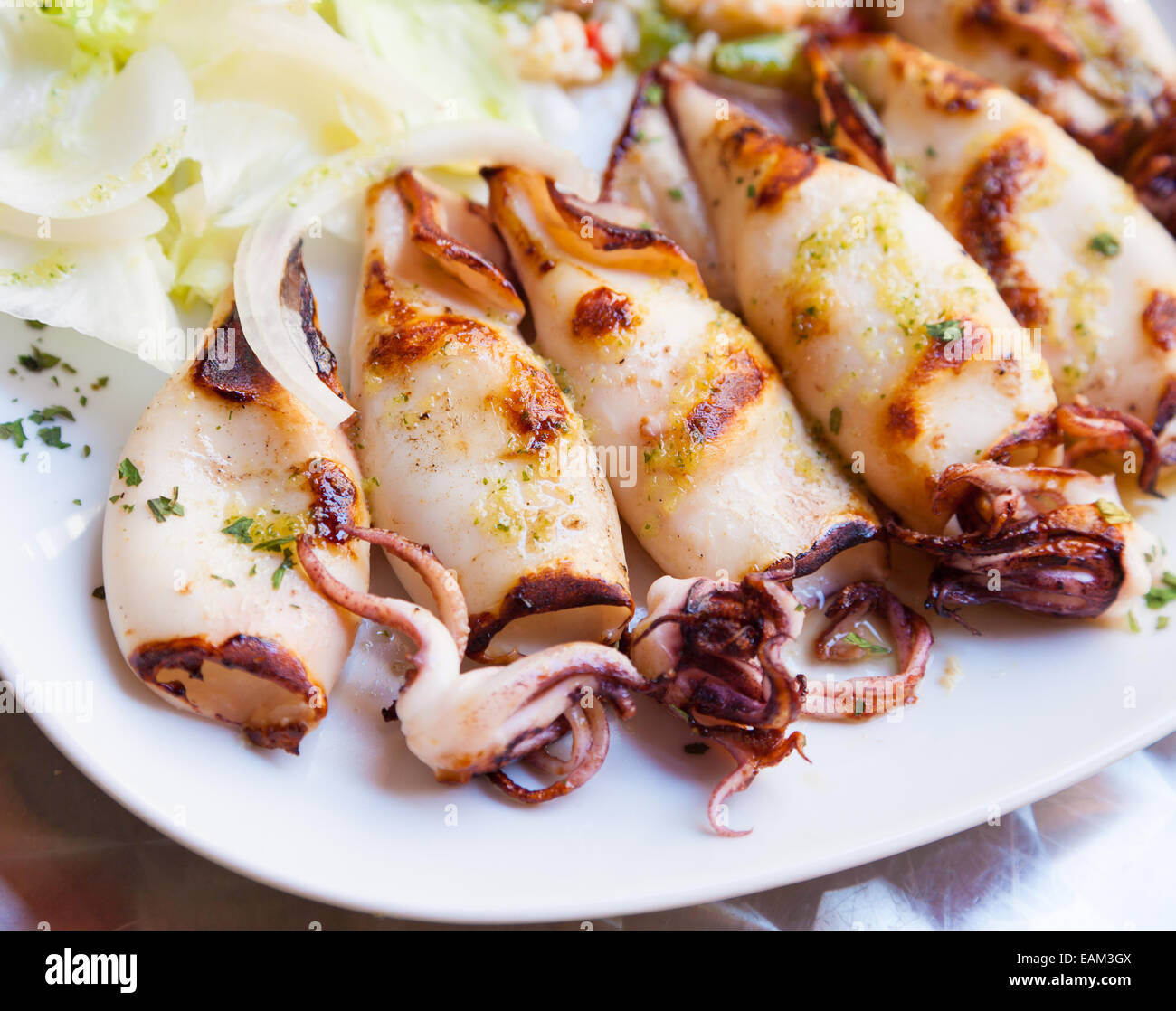Fresh calamari served in an old Italian restaurant (Tuscany). Daylight ...