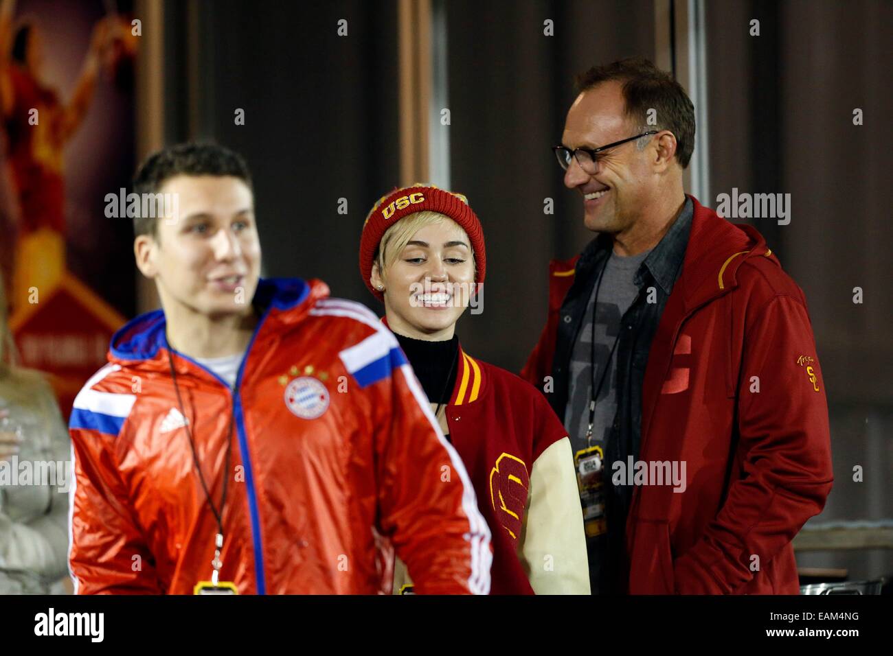 Golden Bears High Resolution Stock Photography and Images - Alamy