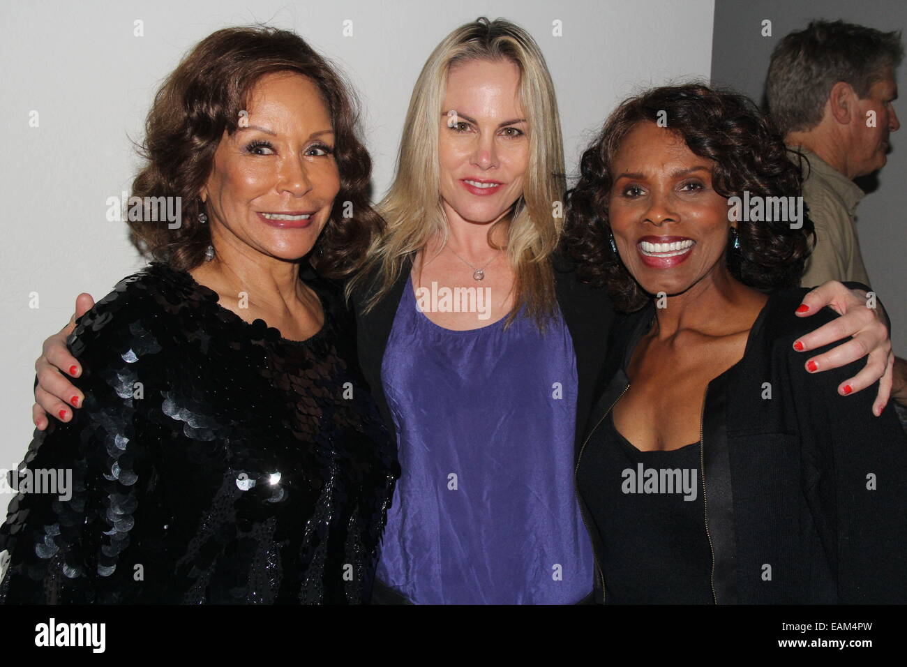 Hollywood, California, USA. 16th Nov, 2014. I15716CHW.Birthday Party ...