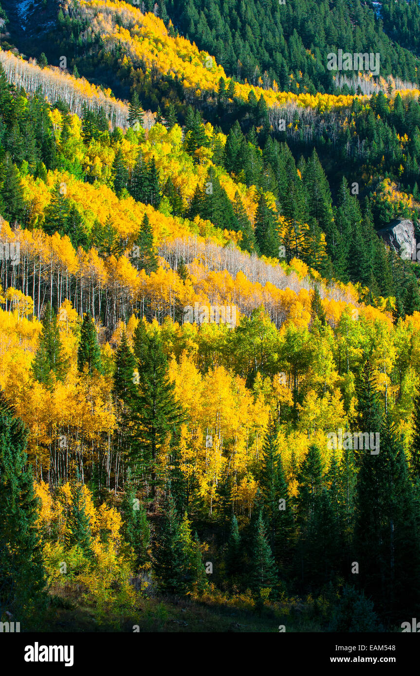 Telluride colorado fall colors hi-res stock photography and images - Alamy