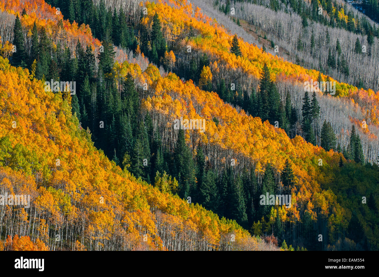 Telluride Colorado Fall Colors Stock Photos & Telluride Colorado Fall ...