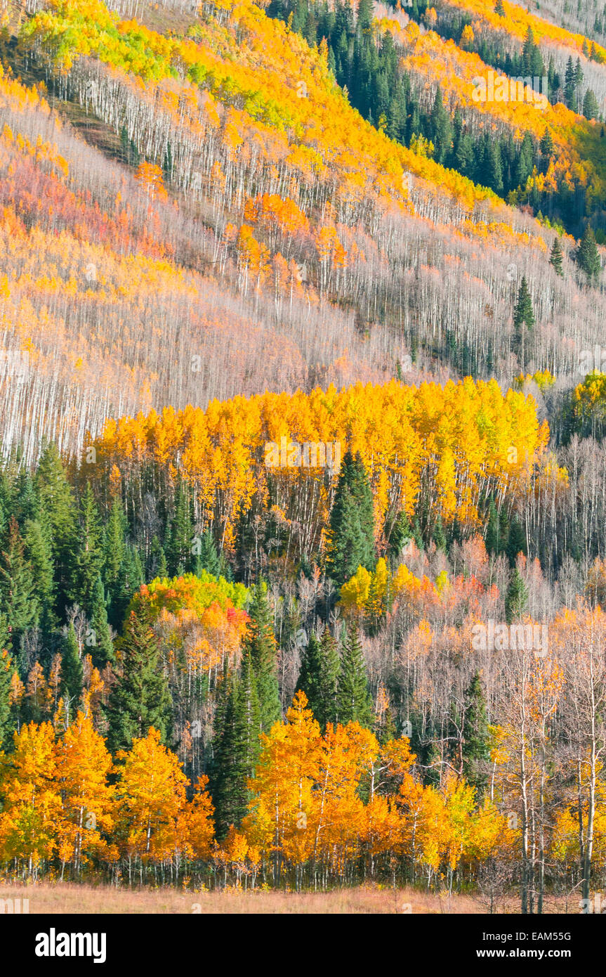 Telluride colorado fall colors hi-res stock photography and images - Alamy