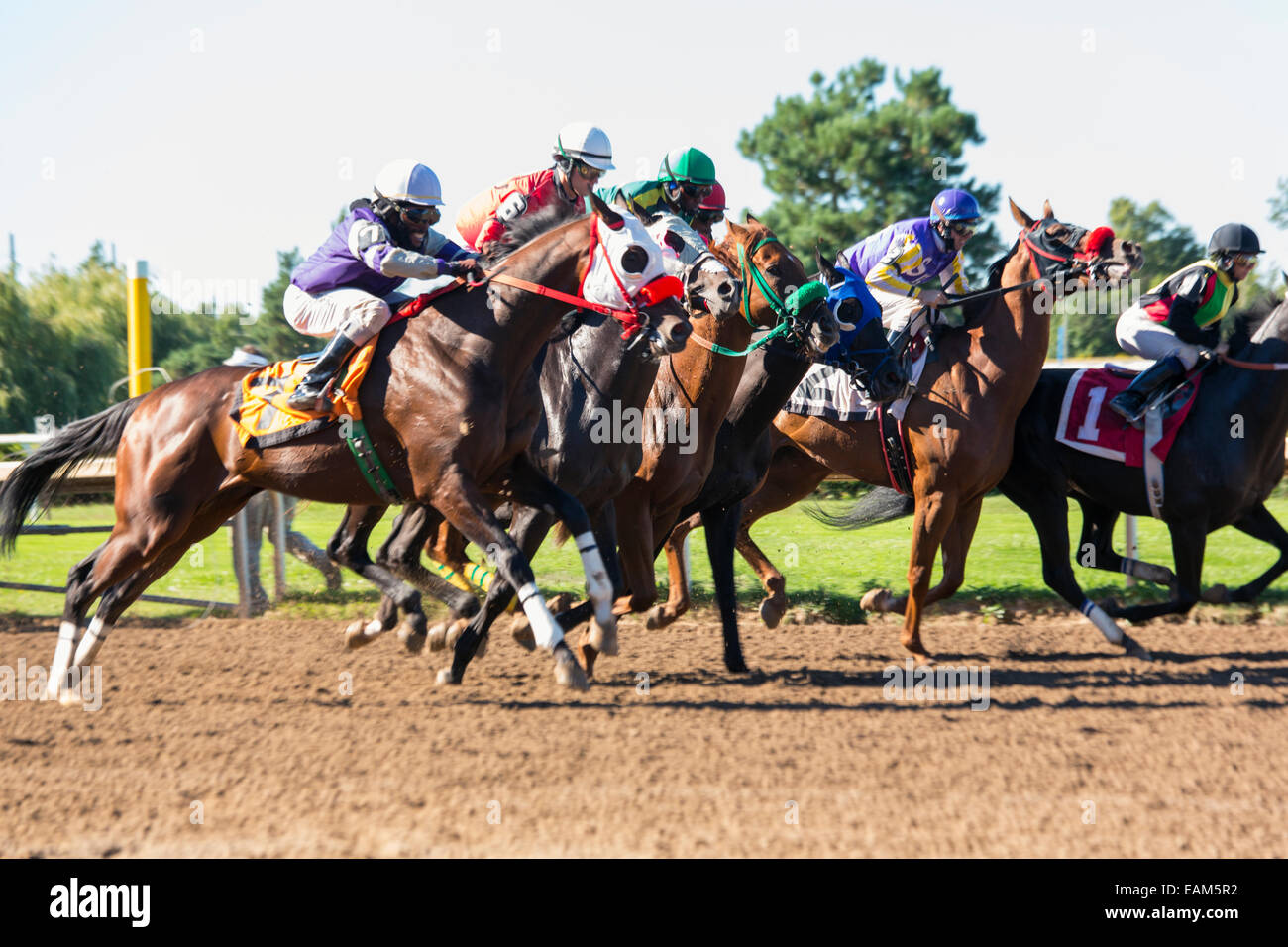 Fort erie race track hi-res stock photography and images - Alamy