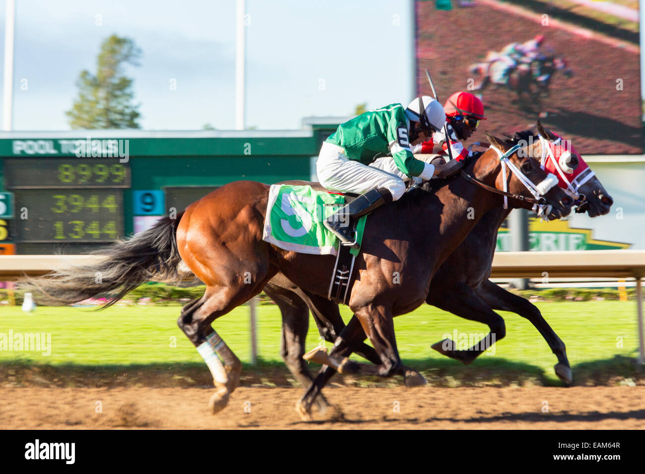 Horse race track hi-res stock photography and images - Alamy