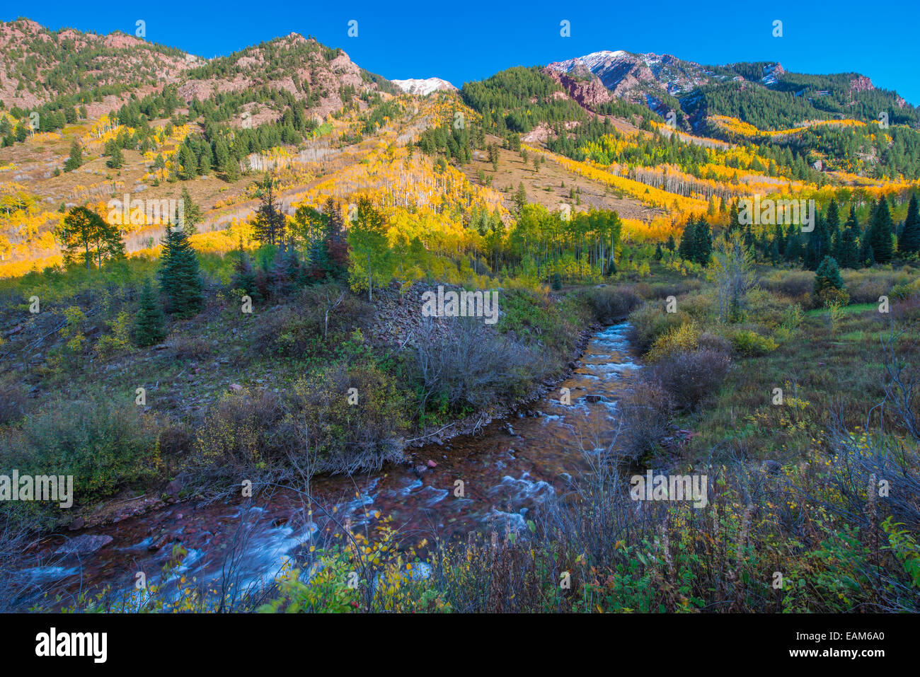 Vibrant Colorful Fall foliage Maroon Creek near Maroon Bells Stock ...