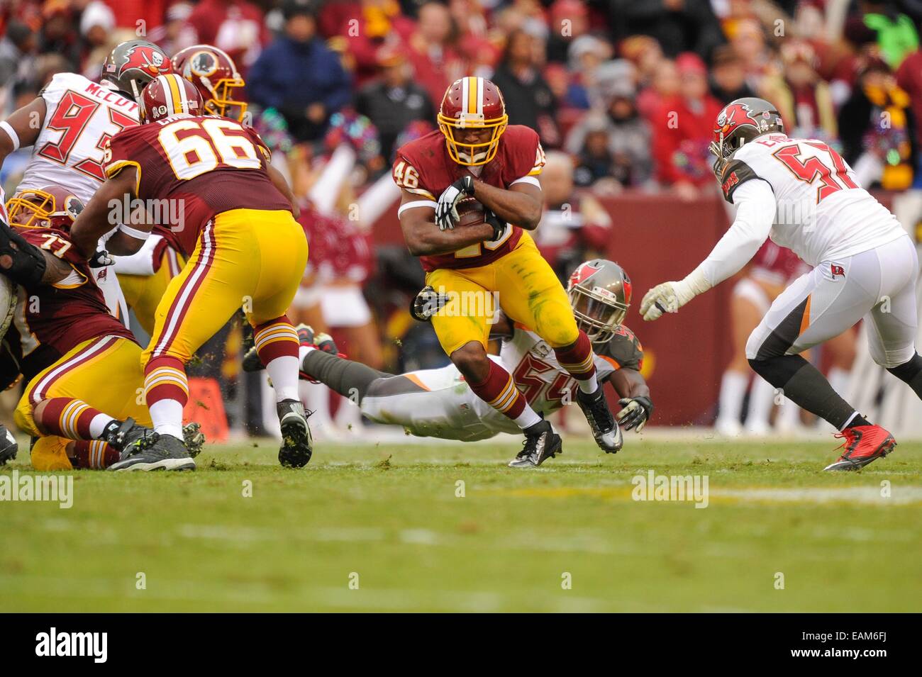 NOV 16, 2014 : Tampa Bay Buccaneers outside linebacker Lavonte David ...