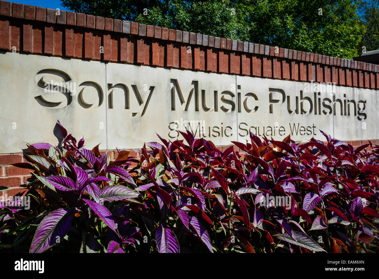 Sony music hi-res stock photography and images - Alamy