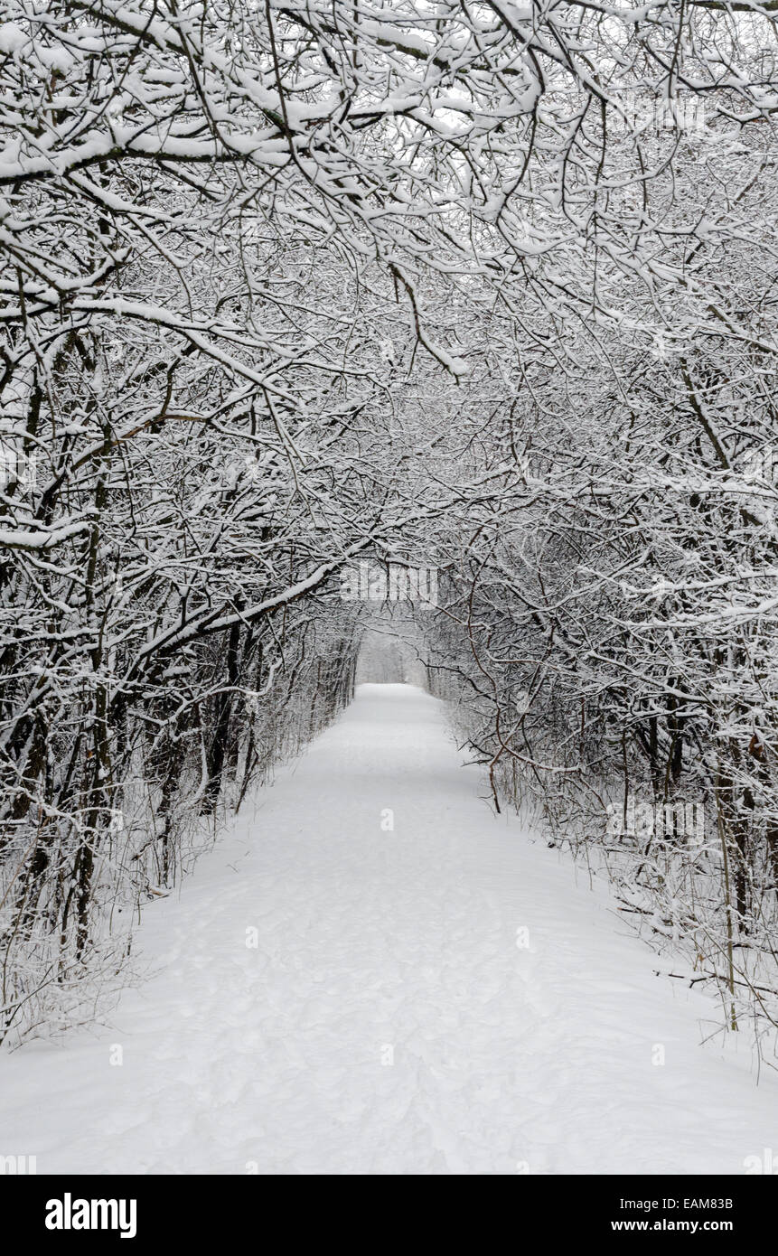 Cool walkway hi-res stock photography and images - Alamy