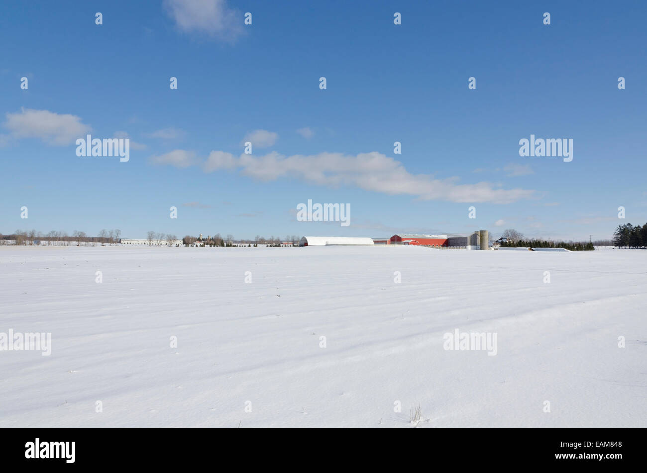 Agricultural farm and field under snow in January Stock Photo - Alamy
