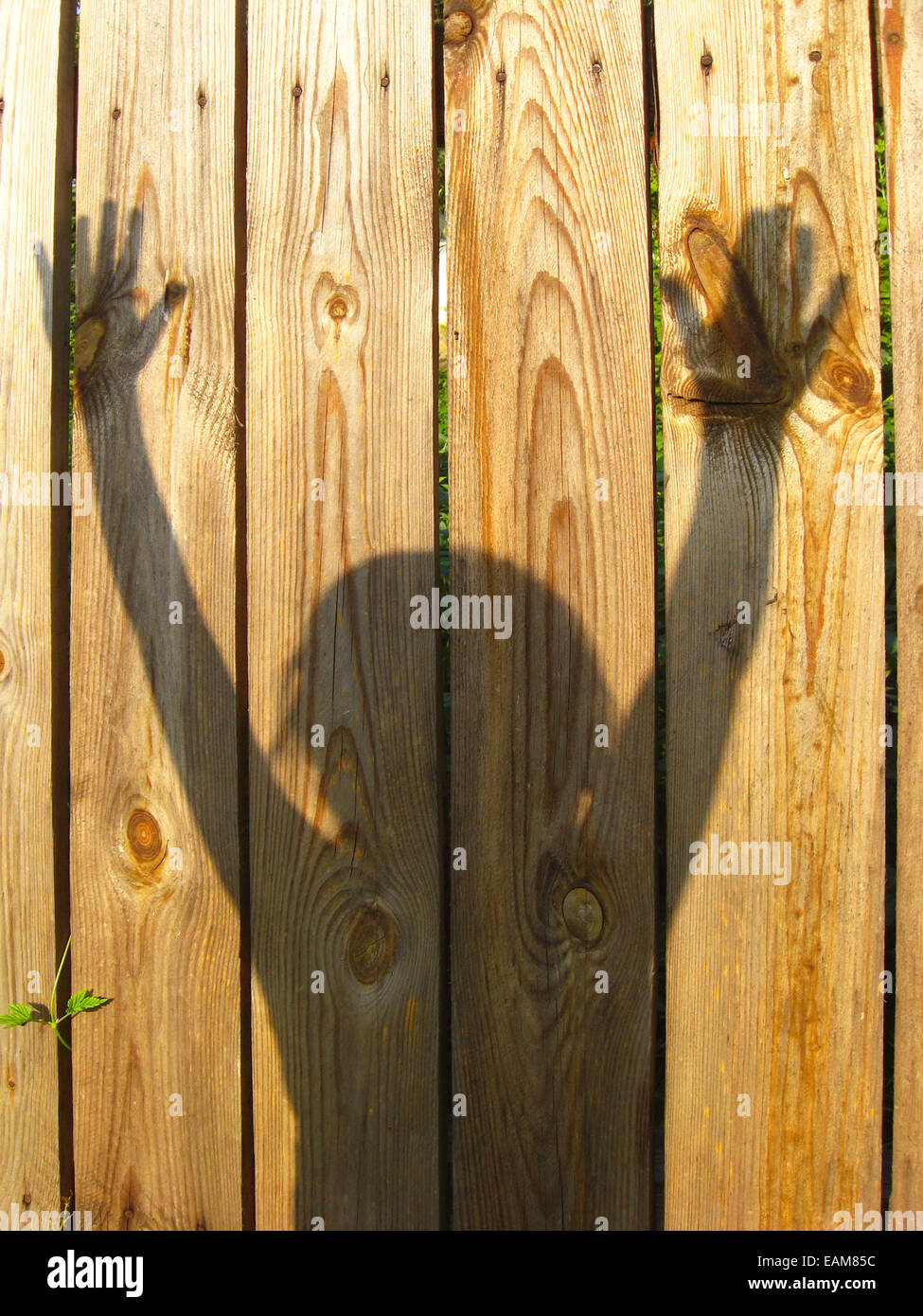 shadows of teen's hand raising up on the wooden fence Stock Photo - Alamy