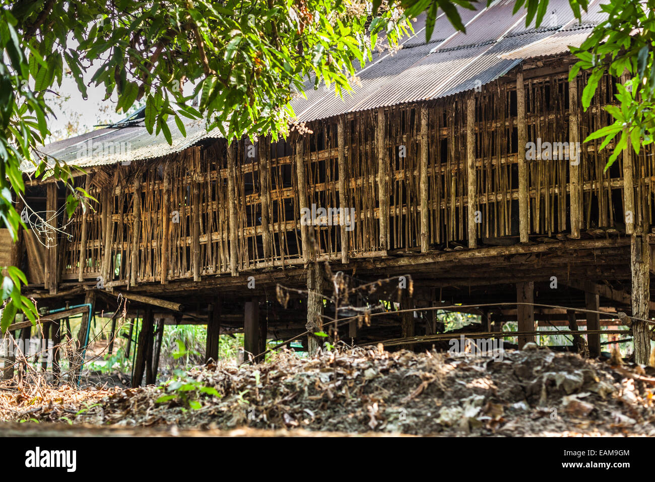 a wooden shack on stilts in the thai countryside Stock Photo - Alamy