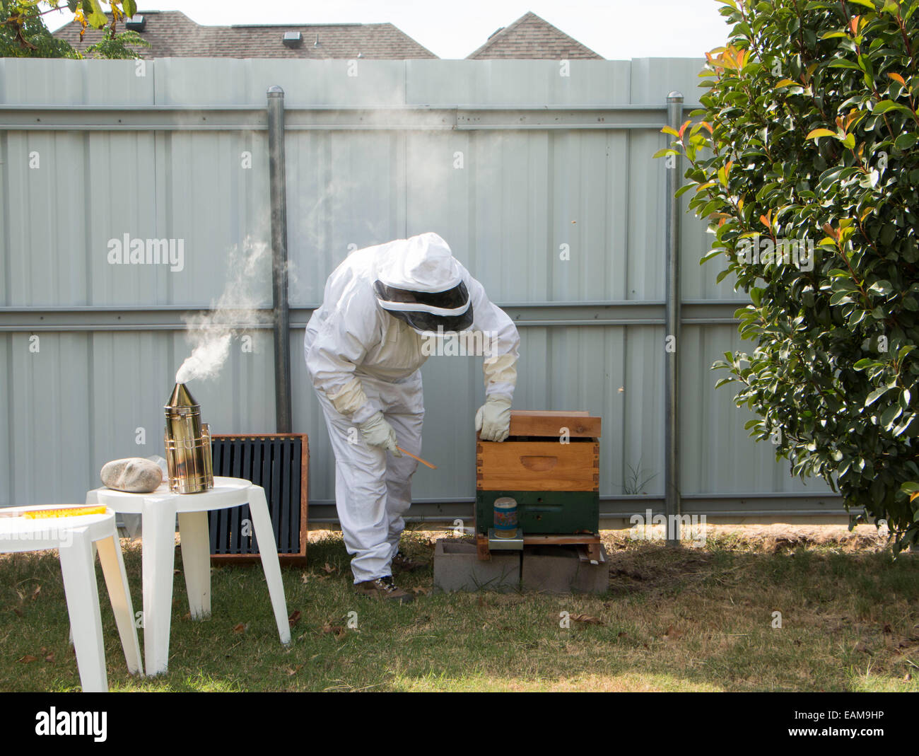 Urban beekeeper checking his beehive Stock Photo - Alamy