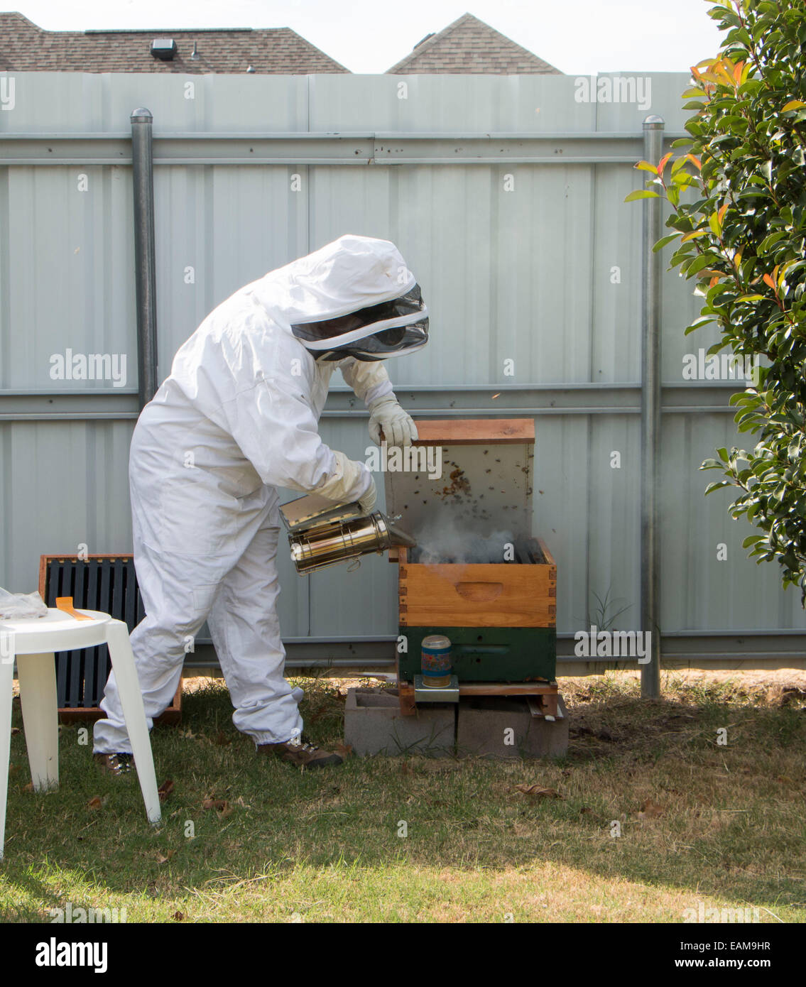 Beekeeper at the beehive hi-res stock photography and images - Alamy