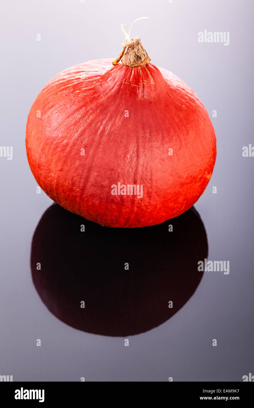 Red kuri squash, a small japanese pumpkin with reflection over a glass ...