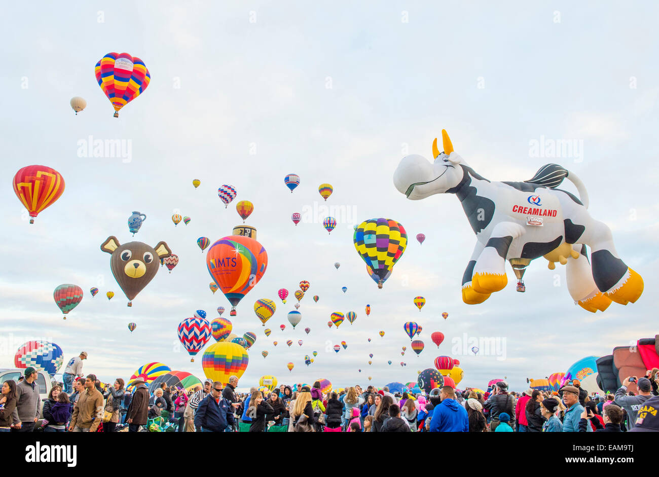 Balloons fly over Albuquerque , New Mexico Stock Photo - Alamy
