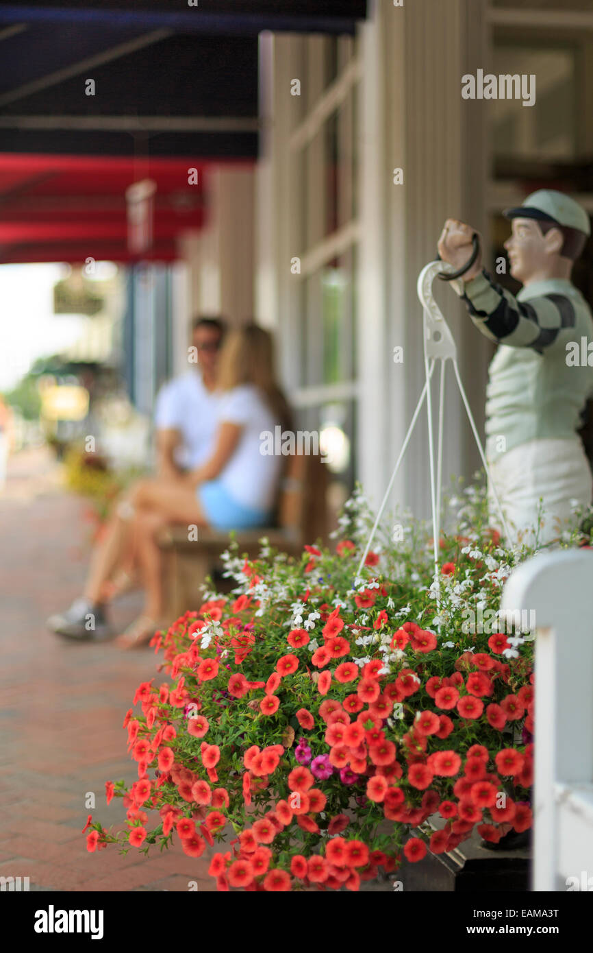 Downtown Hot Springs, Bath County, Virginia, USA home of the historic ...