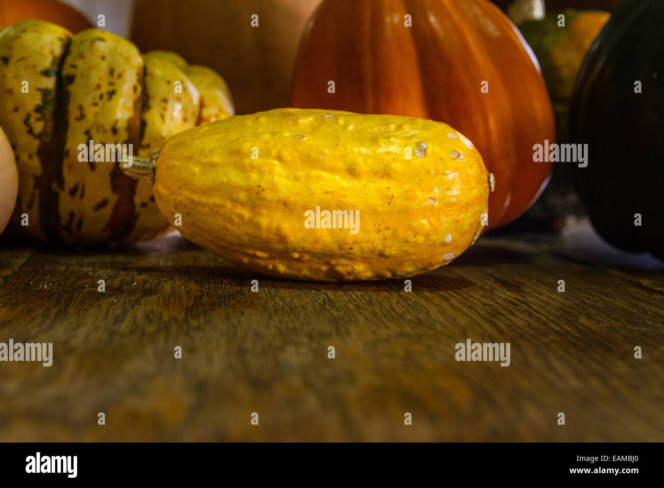 A yellow Gourd Stock Photo - Alamy
