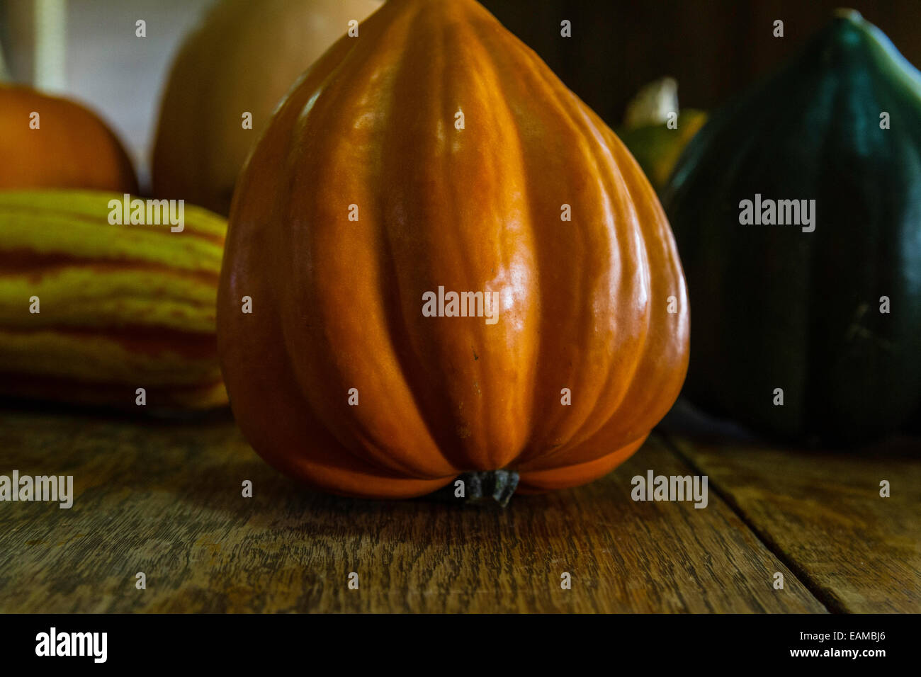 An Orange Acorn Squash Stock Photo - Alamy