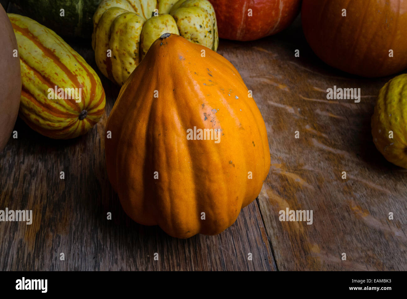 An orange Acorn Squash Stock Photo - Alamy