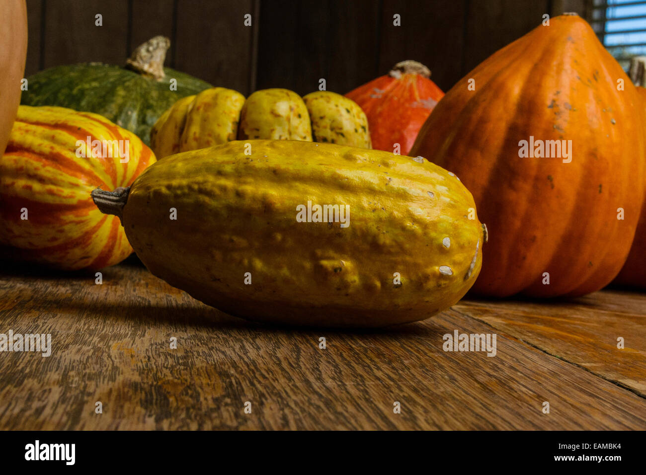 A yellow gourd Stock Photo - Alamy