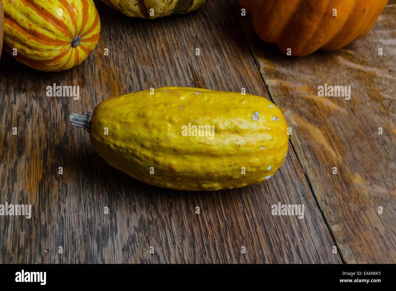 Yellow gourd hi-res stock photography and images - Alamy