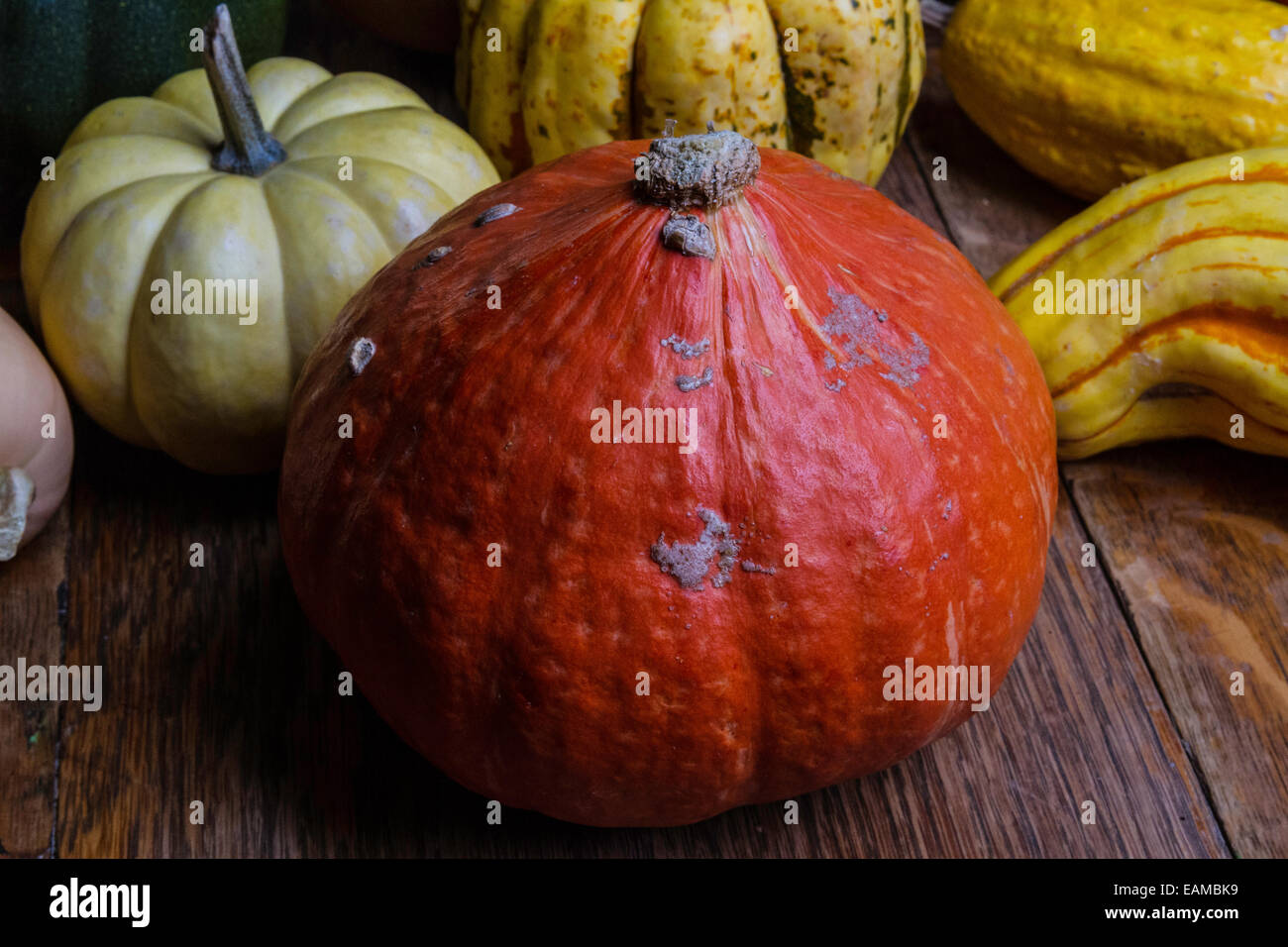 Hubbard squash hi-res stock photography and images - Alamy