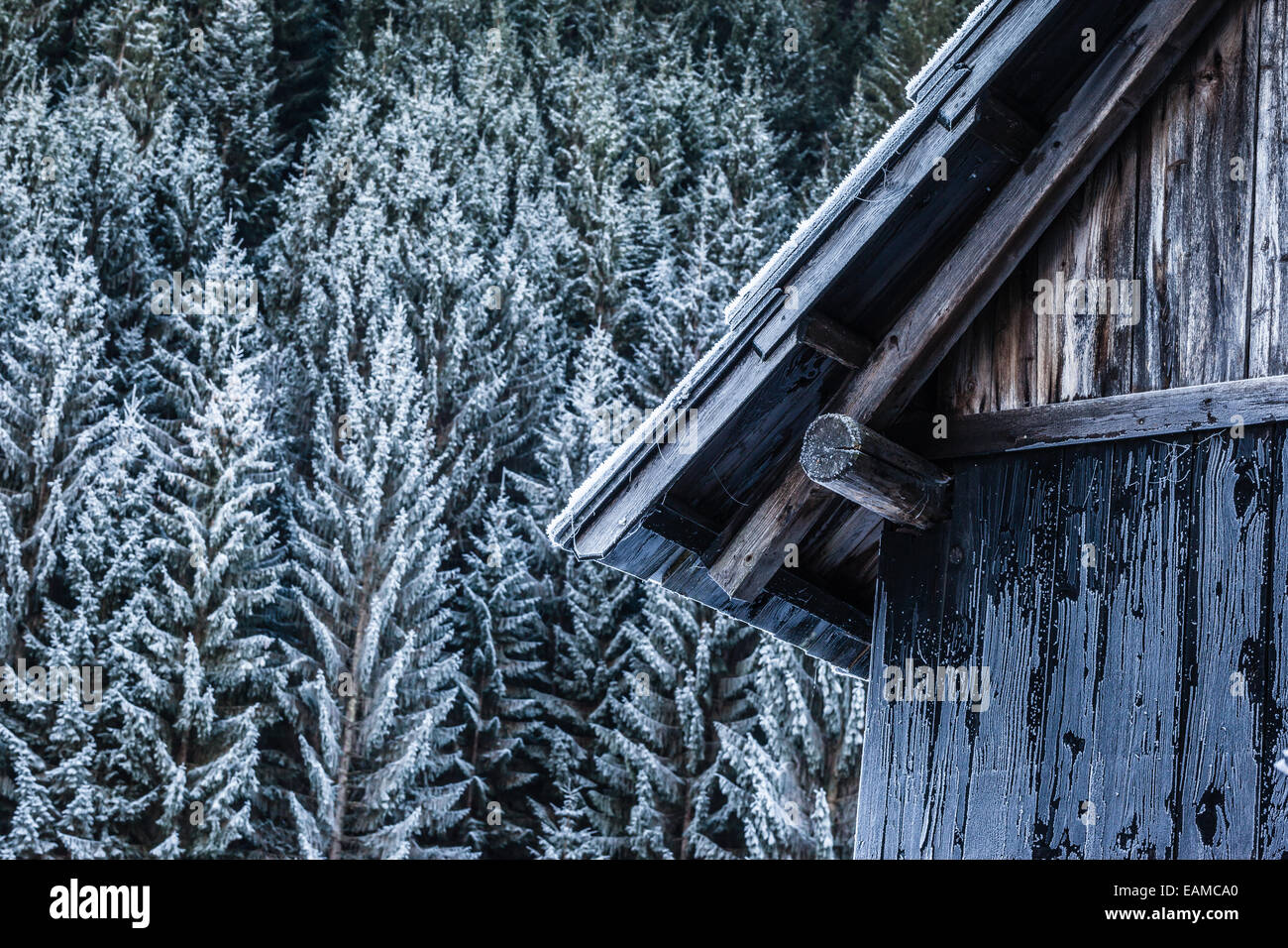 detail of a remote and isolated frozen cabin in the woods during winter ...