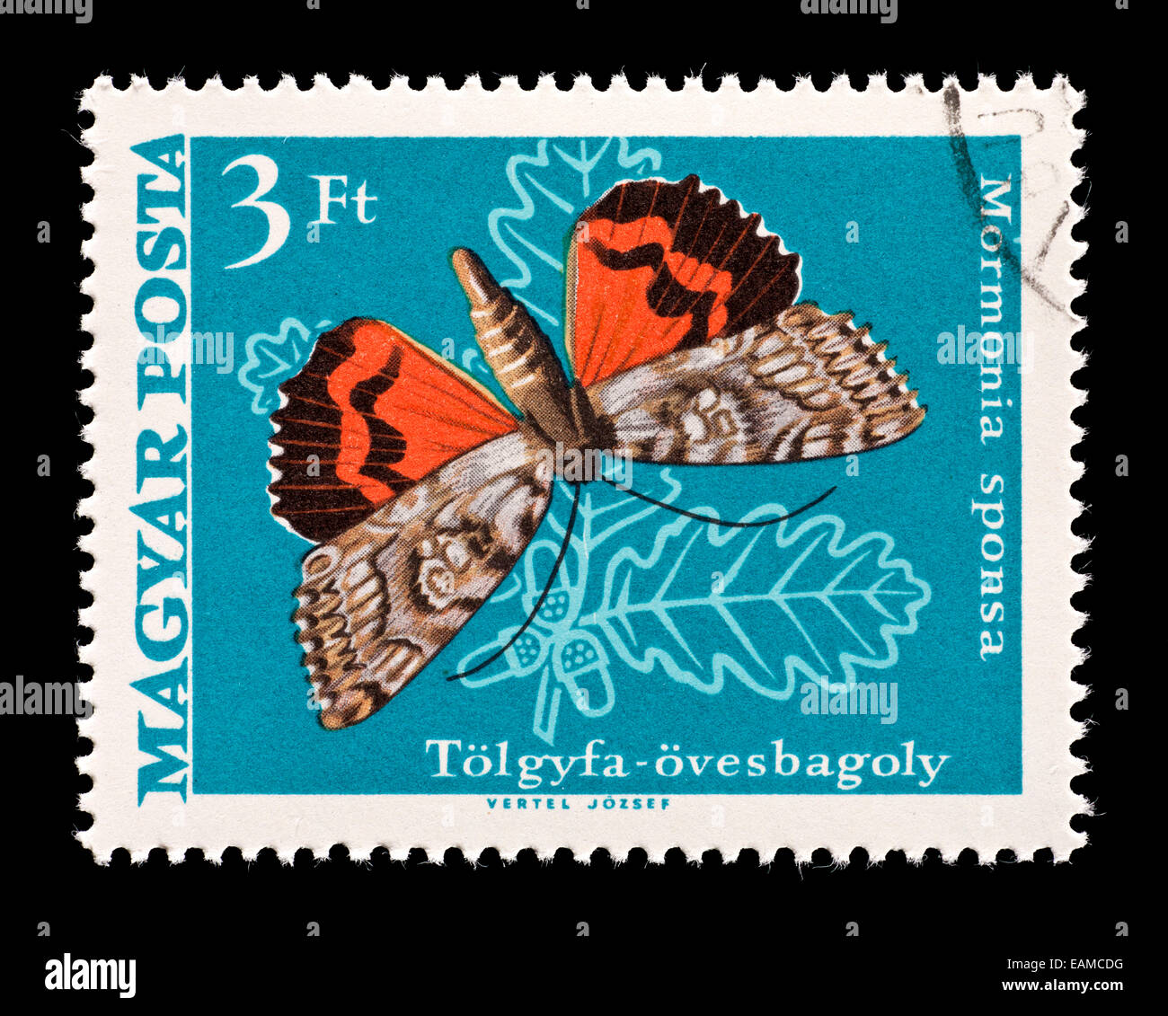Postage stamp from Hungary depicting a belted oak egger (Mormonia ...