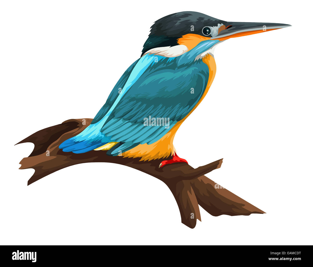 Vector illustration of bird perching on tree branch against white ...