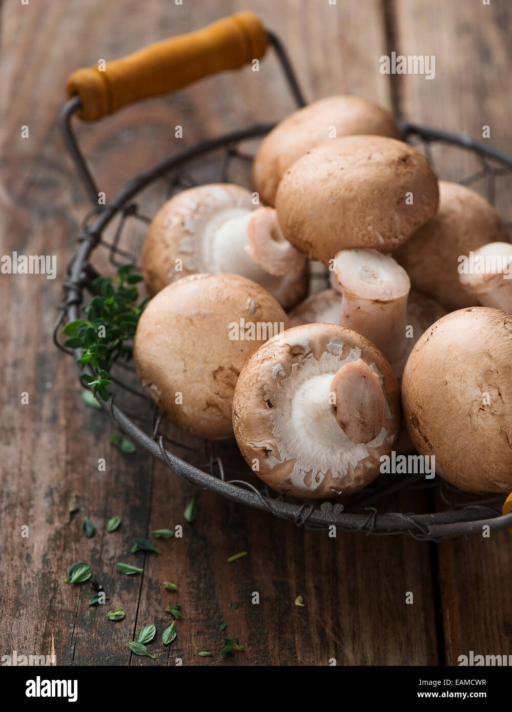 Champignon raw hi-res stock photography and images - Alamy