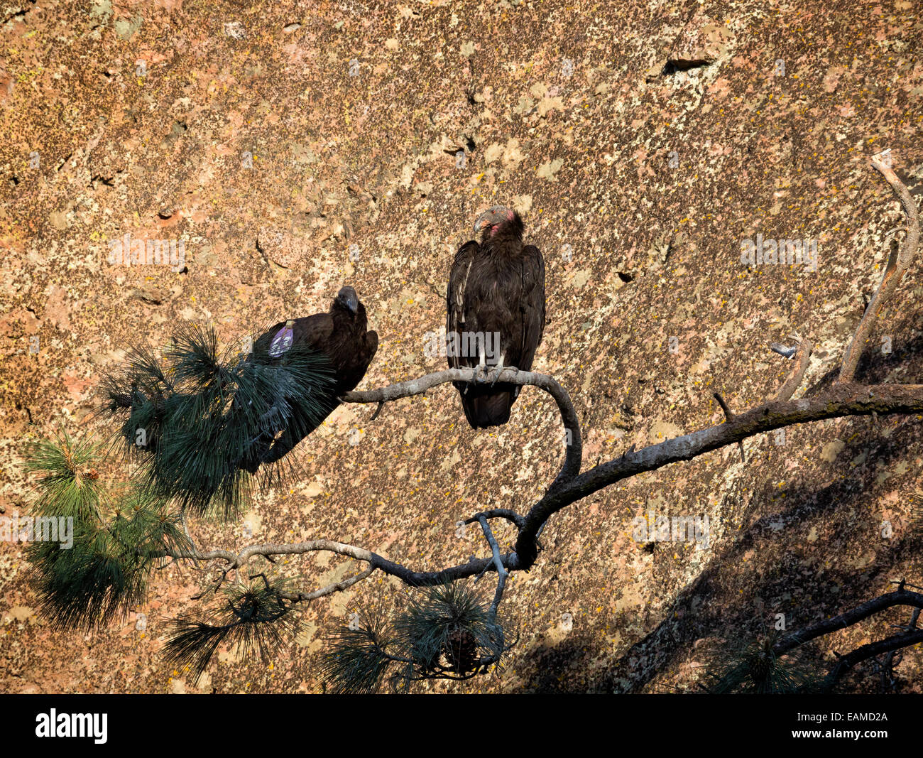 Endangered monument hi-res stock photography and images - Alamy