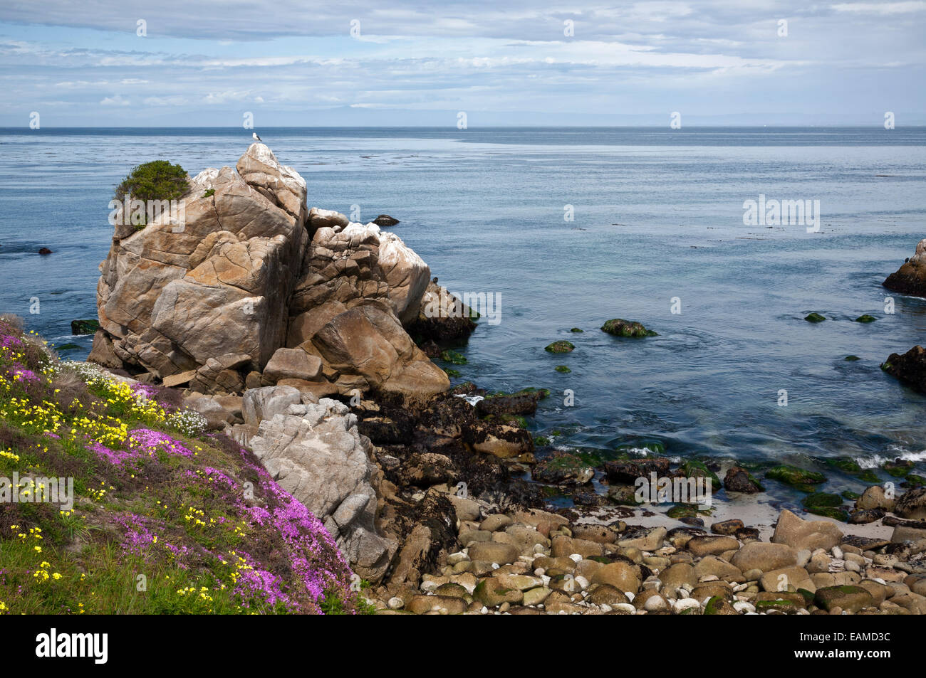Monterey bay coast hi-res stock photography and images - Alamy