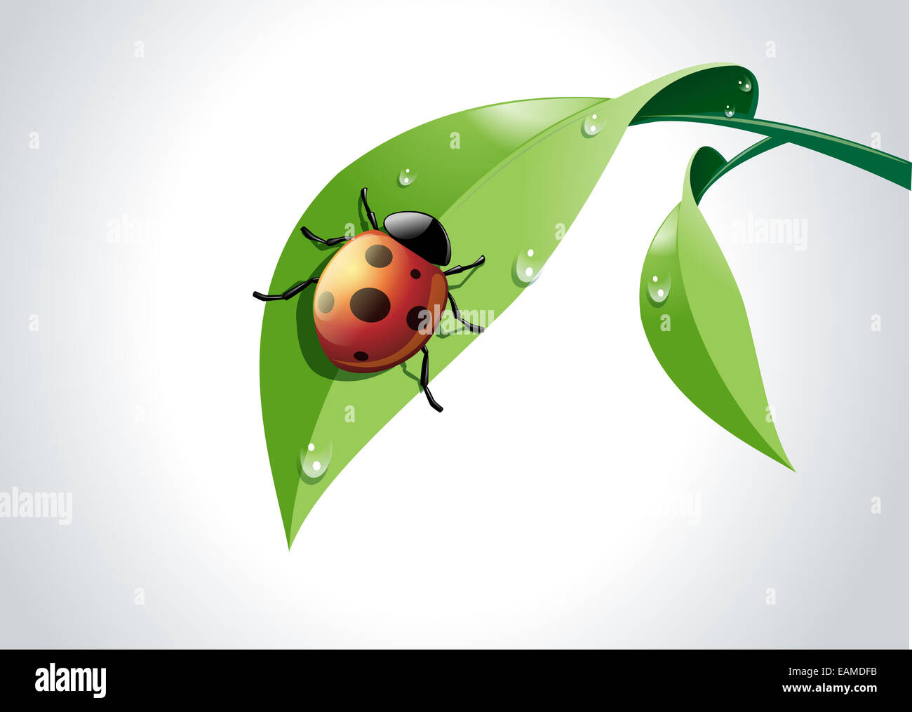 Vector illustration of ladybug on fresh green leaf Stock Photo - Alamy