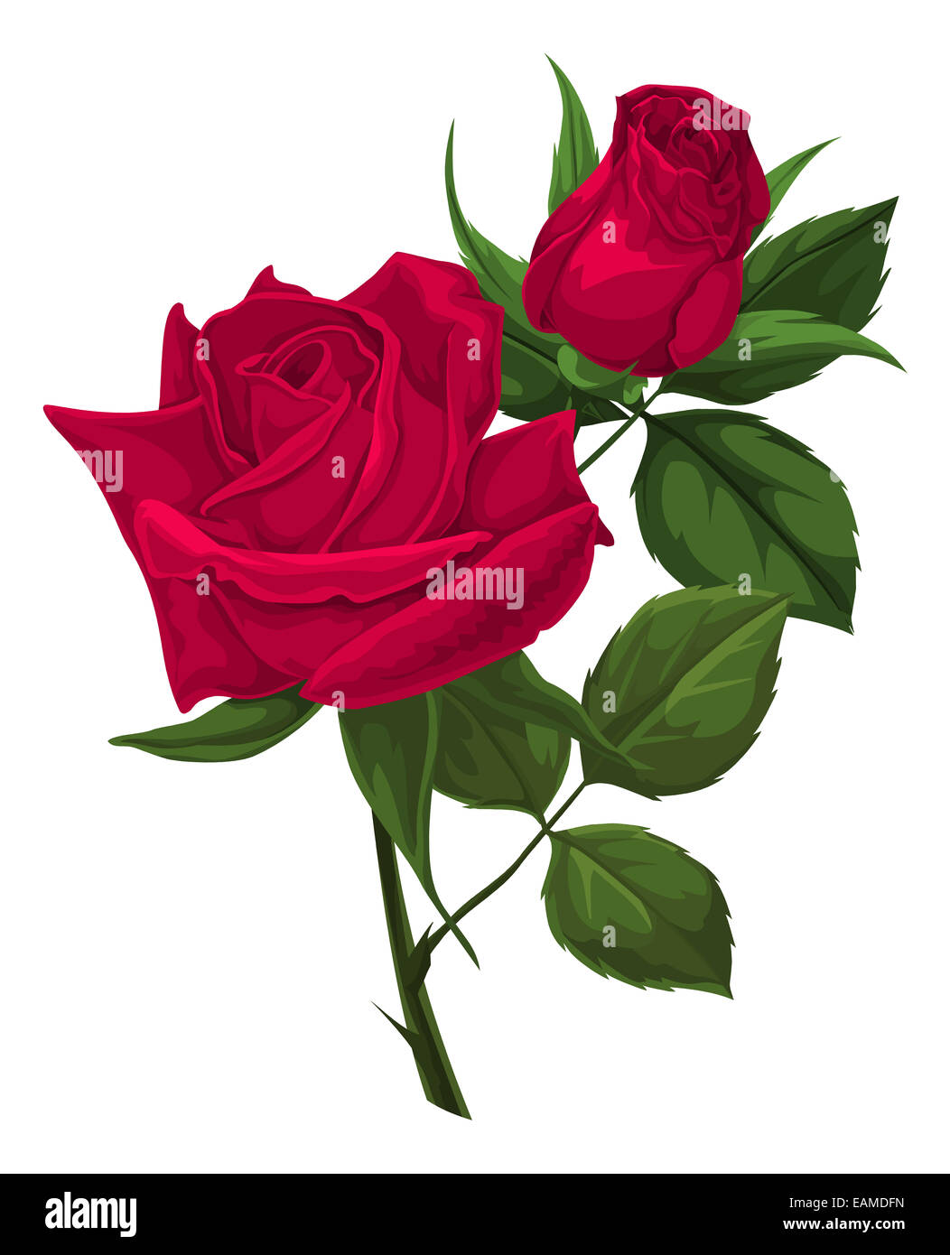 Vector illustration of red rose Stock Photo - Alamy