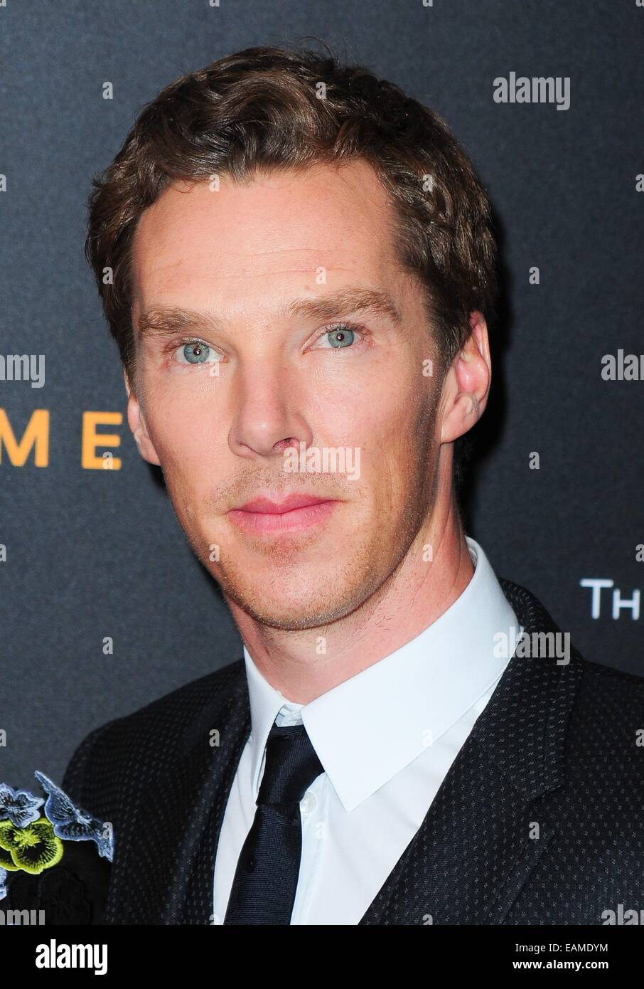 New York, NY, USA. 17th Nov, 2014. Benedict Cumberbatch at arrivals for ...