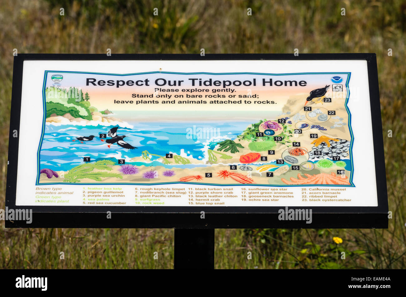 Pool signage hi-res stock photography and images - Alamy