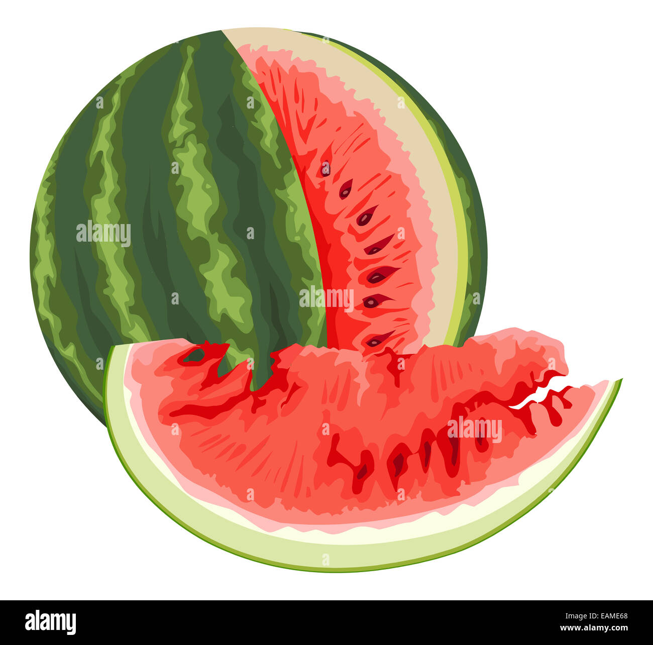 Vector illustration of fresh watermelon Stock Photo - Alamy