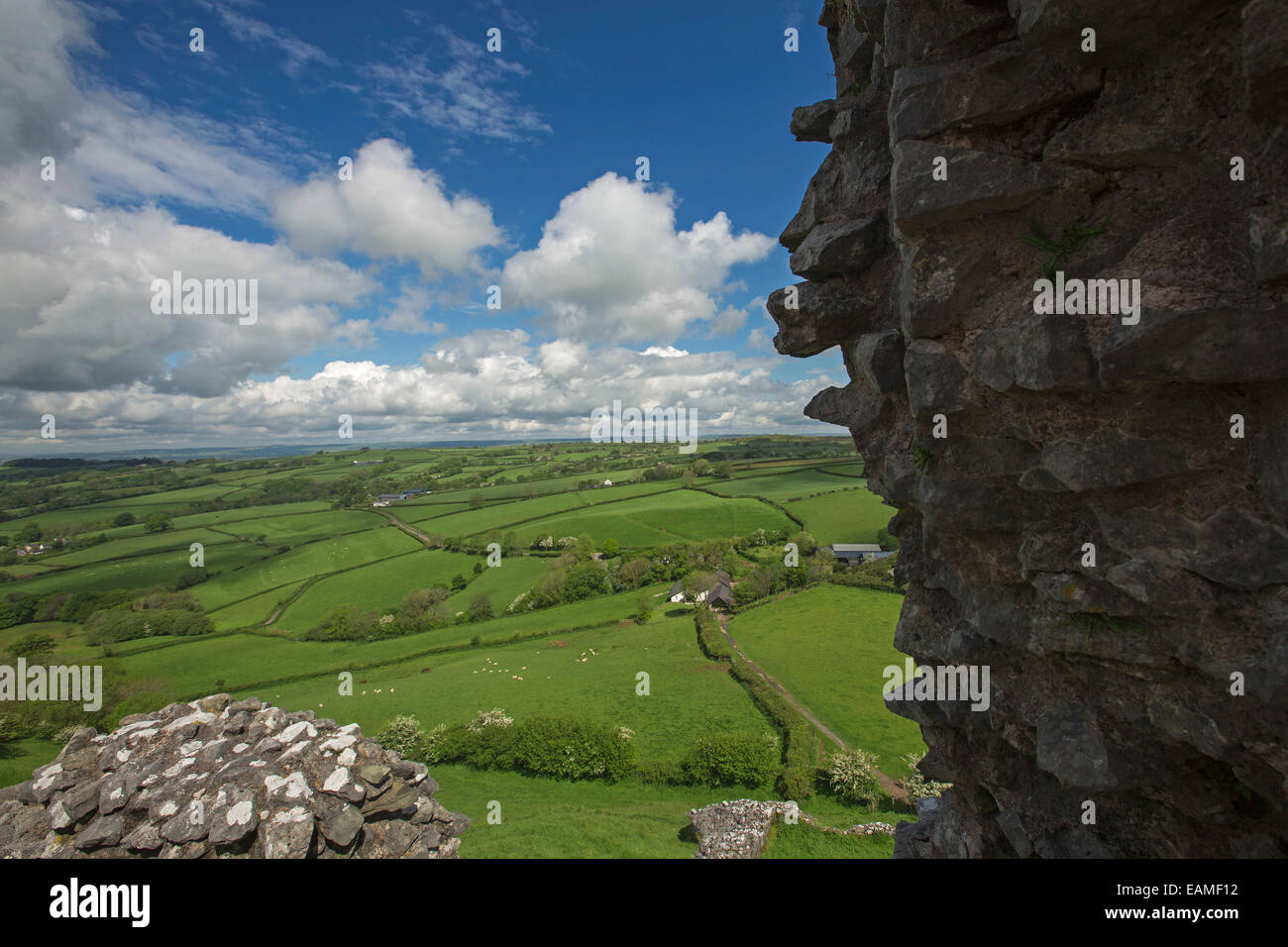 Spectacular view of vast emerald farmlands on rolling hills under blue ...